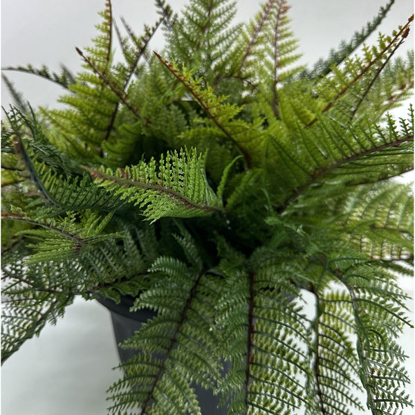 Outdoor Potted Fern – Silk Plant Decor and More