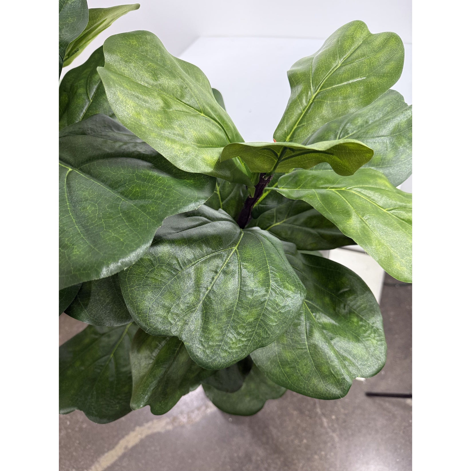 Artificial Fiddle Leaf Fig 6ft - Fake Fiddle Leaf Plant in Canada
