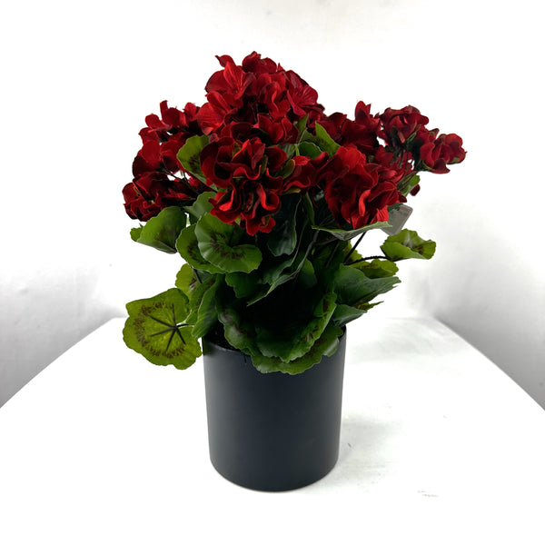 Tabletop Geraniums (set of two) – Silk Plant Decor and More
