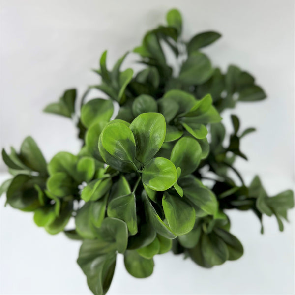 Noble laurel bush potted – Silk Plant Decor and More