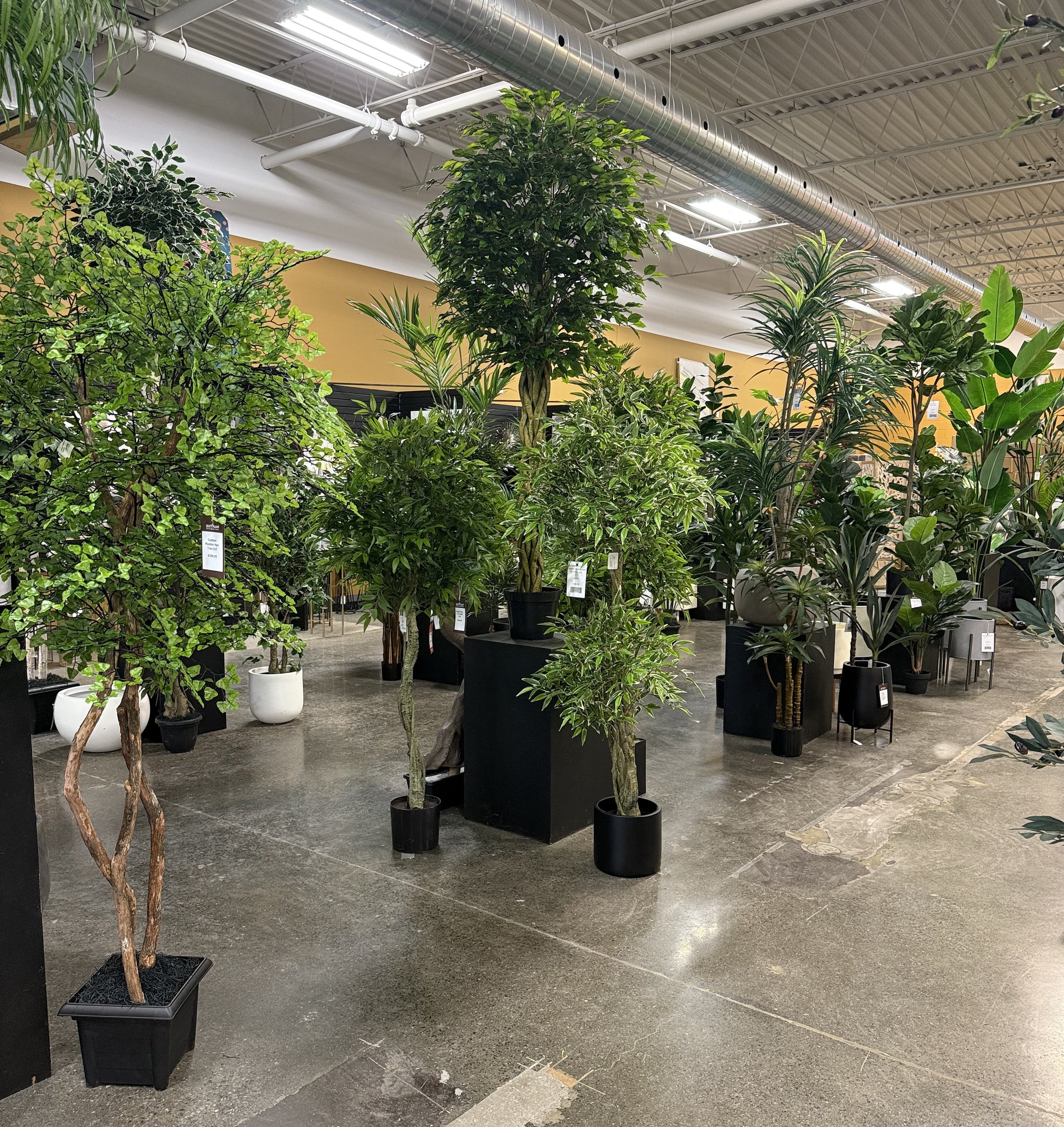 Browse Our Showroom - Silk Plant Home Decor & More