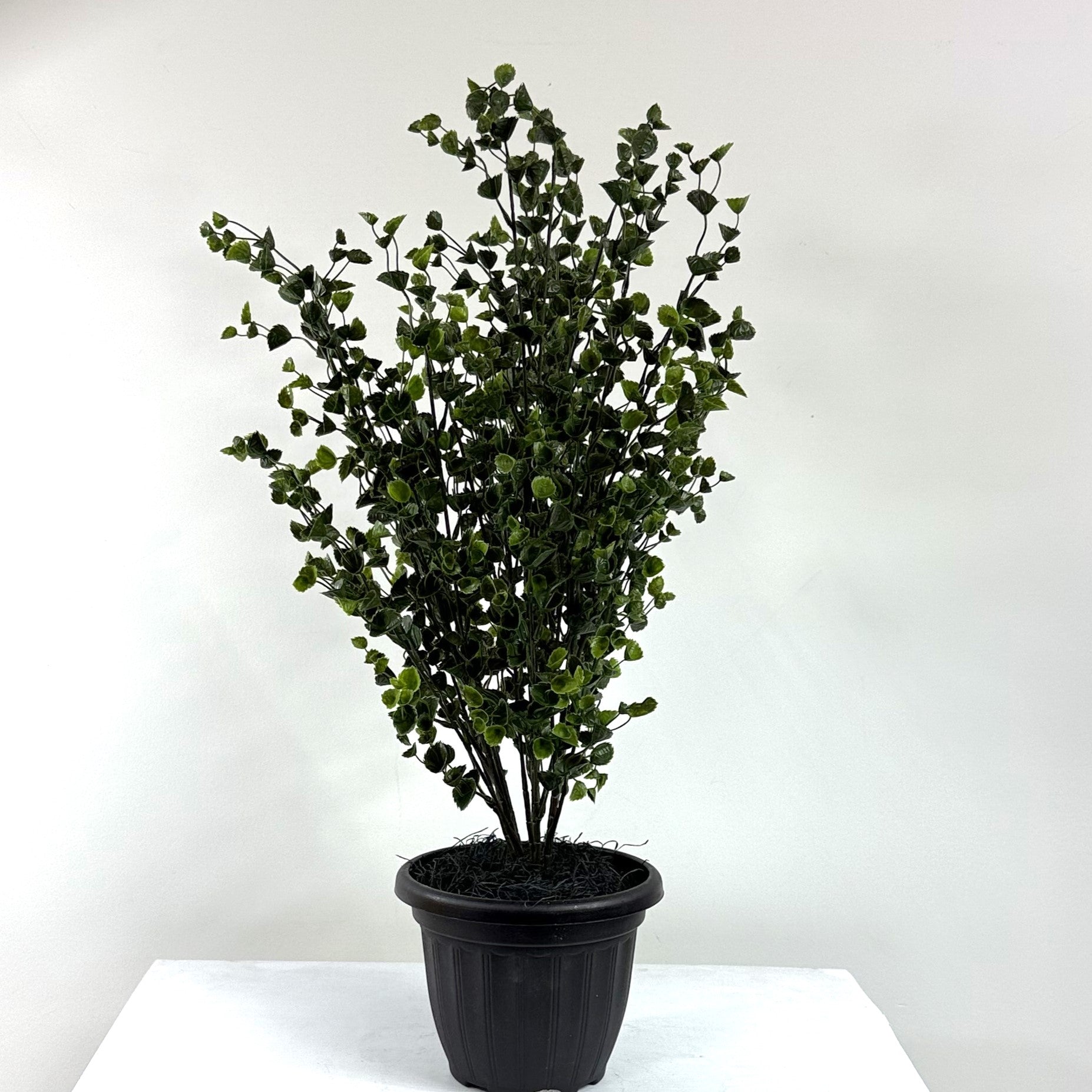 Artificial Bush & Shrub | Outdoor Greenery & Plants