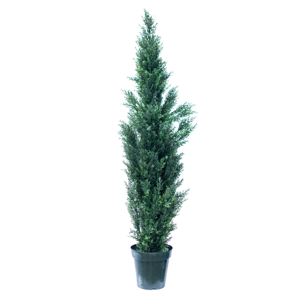 Cedar Tree – Silk Plant Decor and More