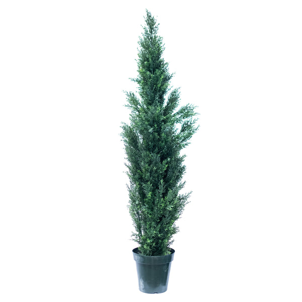 Cedar Tree – Silk Plant Decor and More