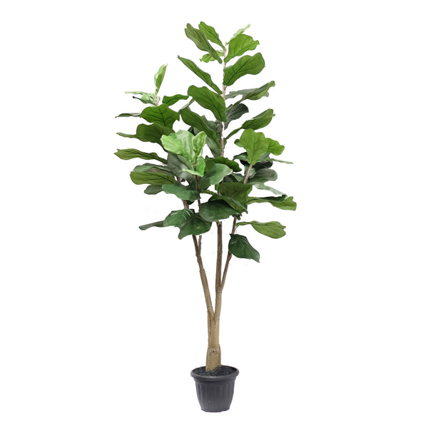Fiddle Leaf Fig 6ft – Silk Plant Decor and More