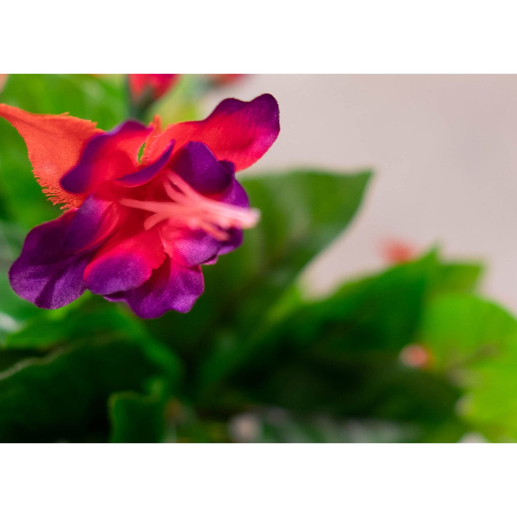 Fuschia Flowering Bush – Silk Plant Decor and More